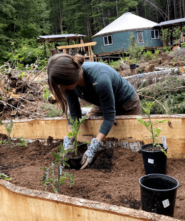 Gardening - Off Grid Life